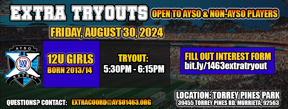 Home [ayso.bluesombrero.com]